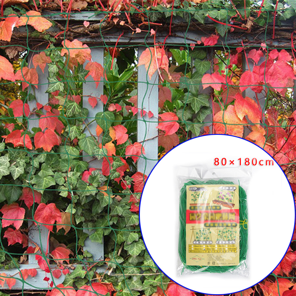 Rede de treliça para planta de jardim, rede resist... – Grandado