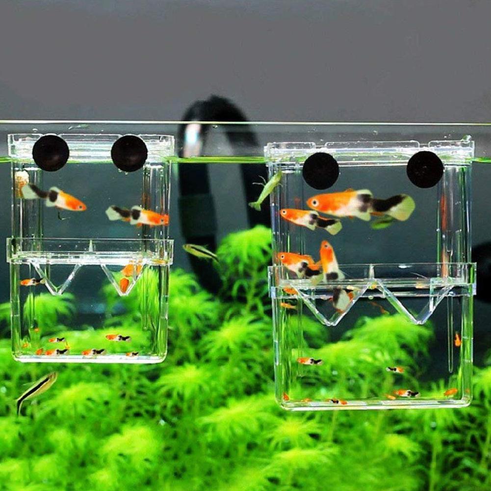 Newest Small Size Aquarium Breeding Box Fry Tank I... – Grandado
