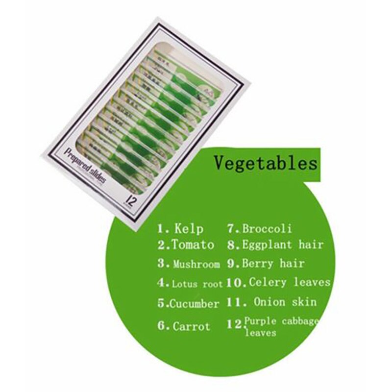 48Pcs Prepared Plastic Microscope Slides Biologica... – Grandado