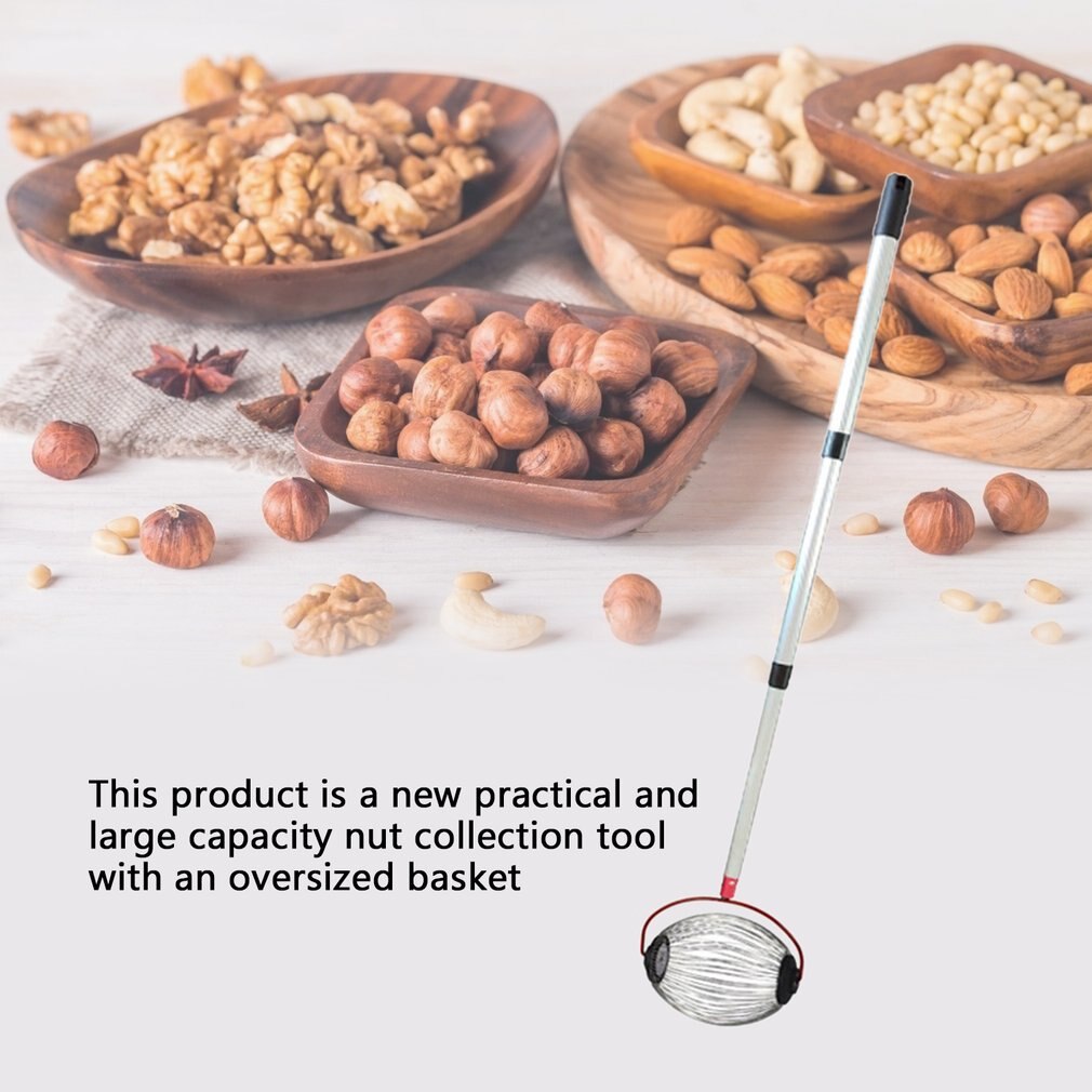 Walnuts Chestnuts Harvester Roller Nut Collector R... – Grandado