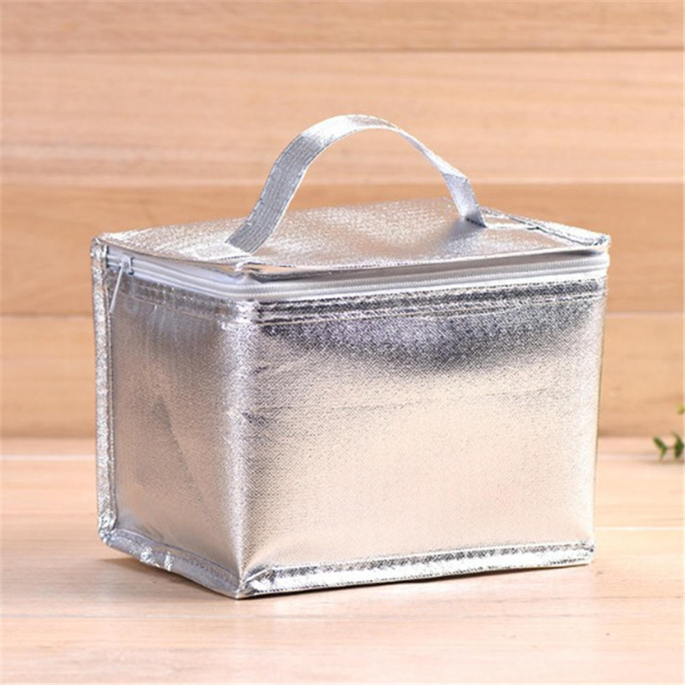 1Pc Cooler Lunch Box Portable Zipper Insulated Non... – Vicedeal