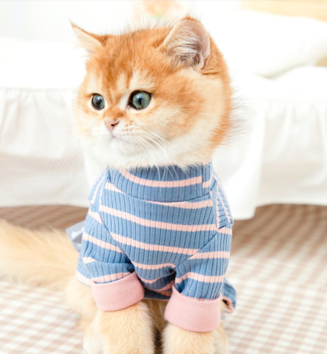 Cat Clothes Small Cats Vest Casual Warm Kitten Shi... – Grandado