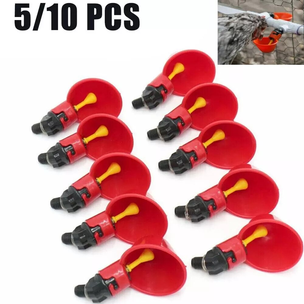 Kip Drinkbeker Automatische Drinker Kip Feeder Pla... – Grandado