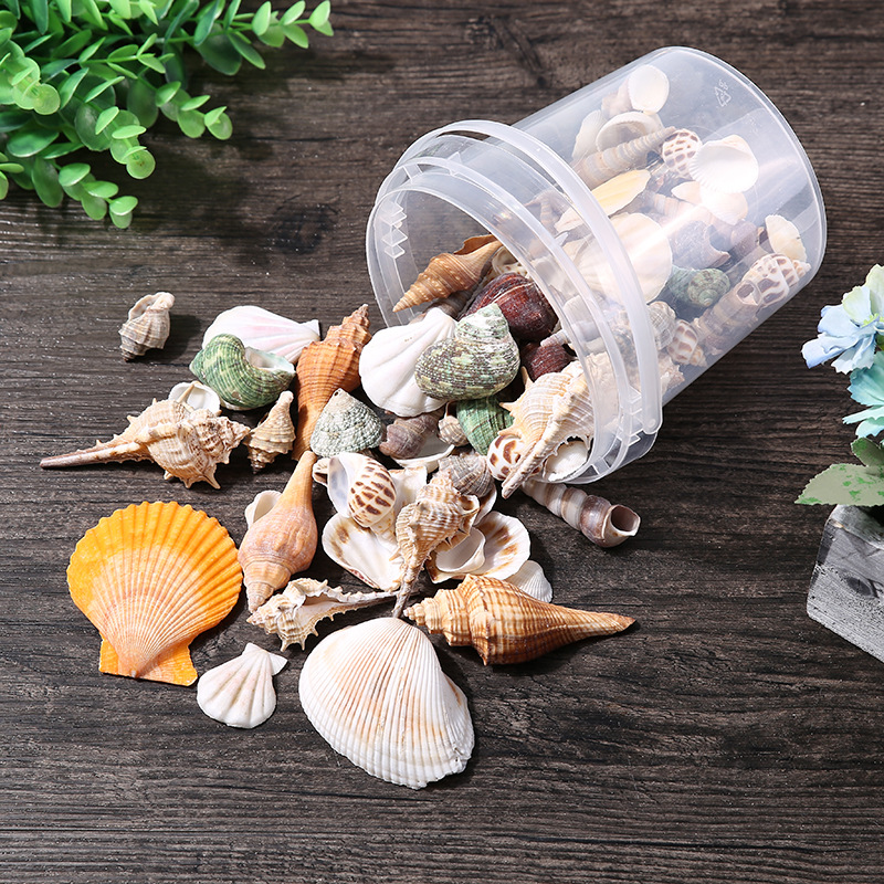 110g/150g/330g/500g Mixed Color Beach Sea Shells C... – Grandado