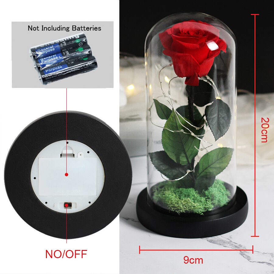 Mother's Day Beauty And Beast Eternal Flower Rose ... – Grandado