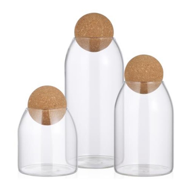 3Pcs Transparent Glass Storage Tank Borosilicate G... – Grandado