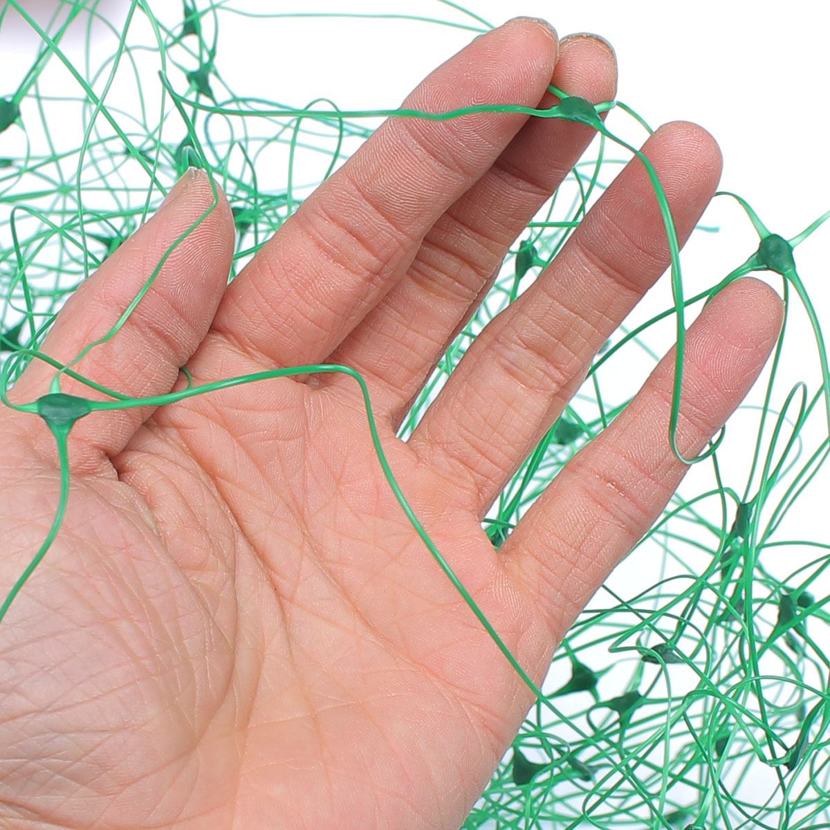 Melon Fruit Morning Glory Vine Net Flower Cucumber... – Grandado