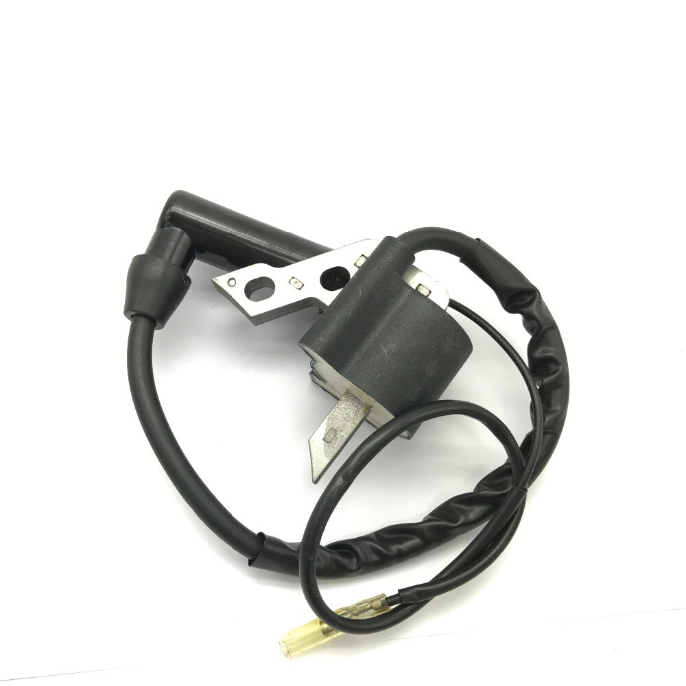 Gasoline Engine Ignition Coil And High Voltage For... – Vicedeal