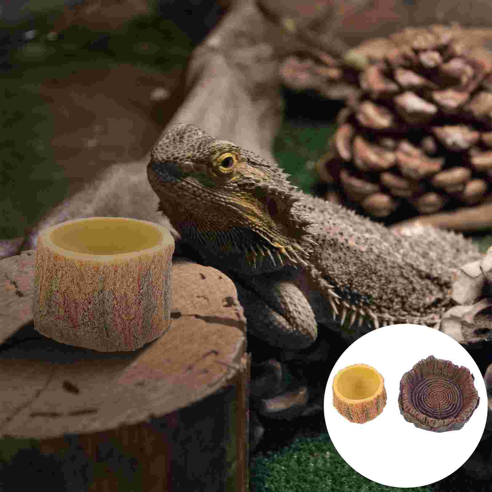 2Pcs rettili lavelli per alimenti paesaggistica sc... – Grandado