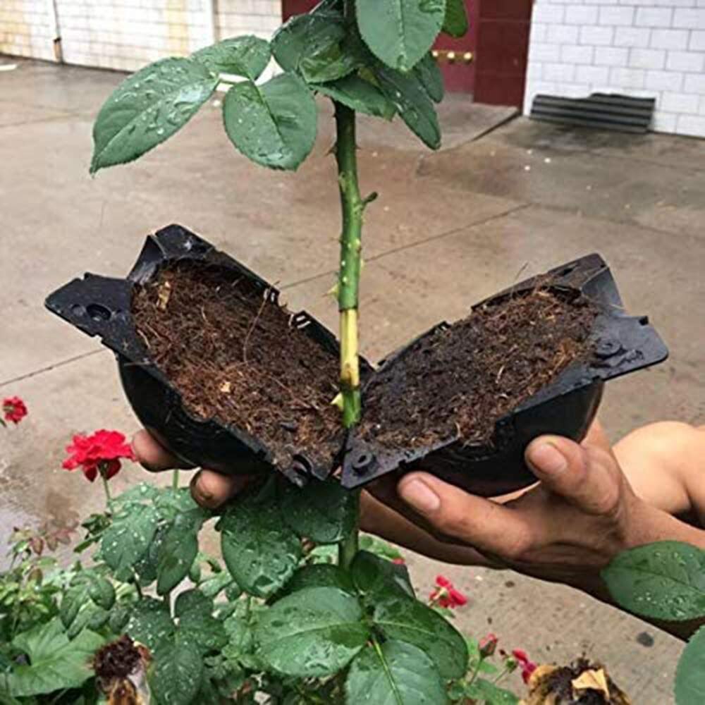 Garden Flower Fertilizers Box Botany root controll... – Grandado