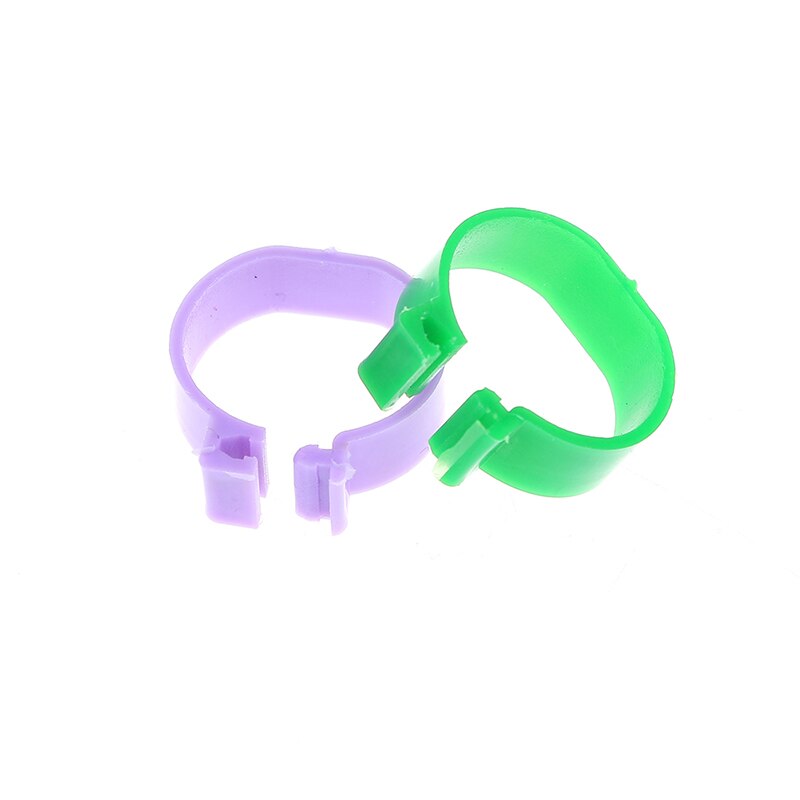 20 Stuks Binnen Diameter 2.0 Cm Kip Ring Kip Duif ... – Grandado