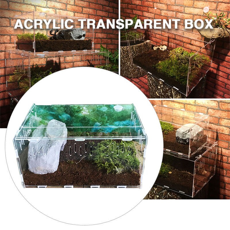 Practical Reptile Terrarium Pet Box Acrylic Transp... – Grandado