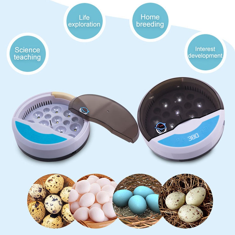 9 Eggs Incubator Automatica Bird Chicken Mini Broo... – Vicedeal