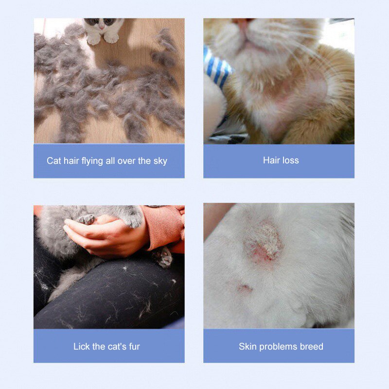 2-In-1 Draagbare Hond Föhn Trekken Artefact Hond F... – Grandado