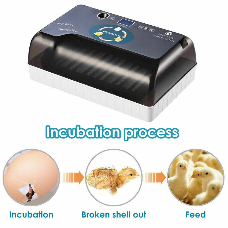 12 Egg Incubator Fully Automatic Digital Turning C... – Grandado