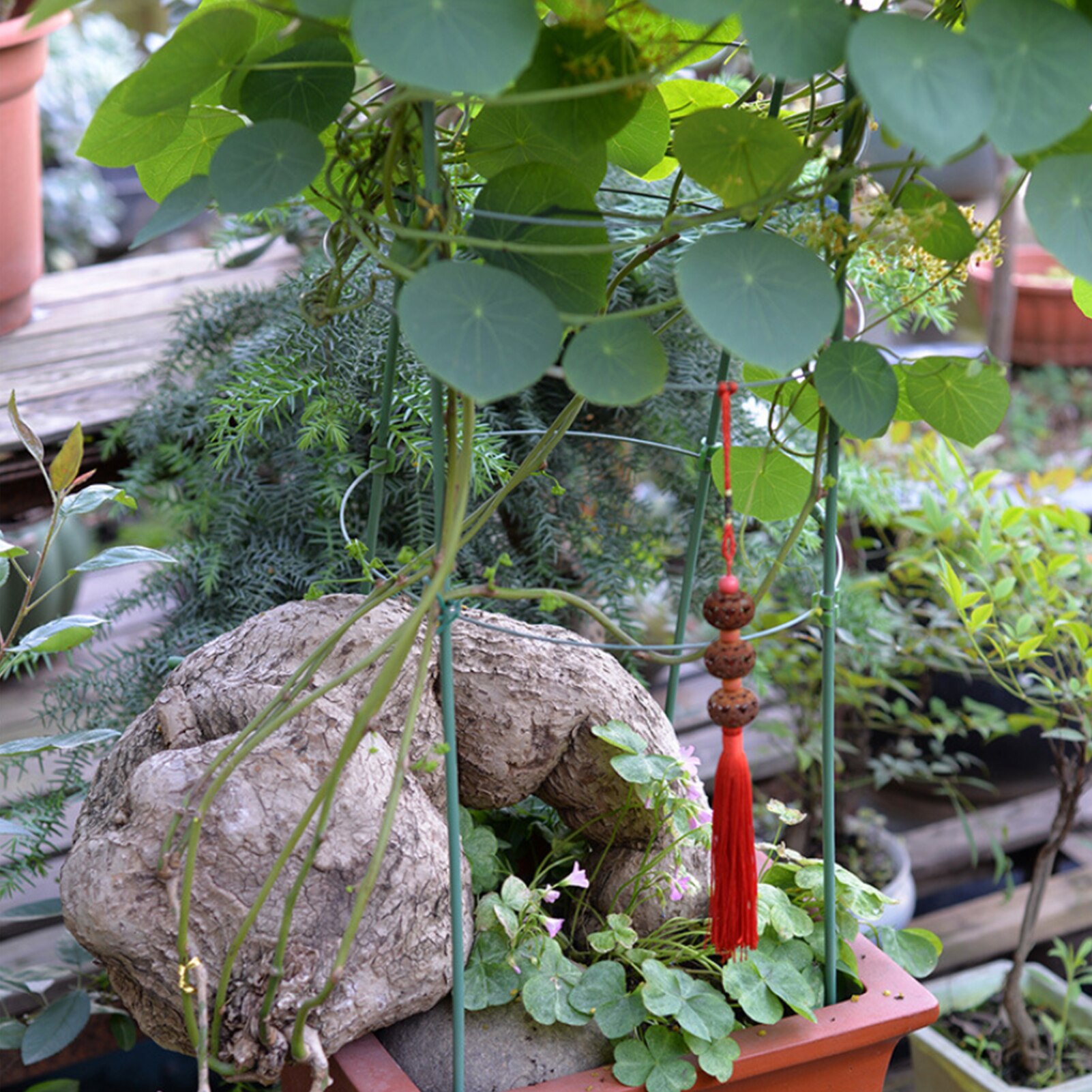 Garden Climbing Vine Rack Potted Plant Support Cag... – Vicedeal