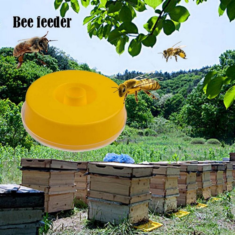 Bee Disc Feeder Plastic Disc Feeder Ronde Top Feed... – Vicedeal