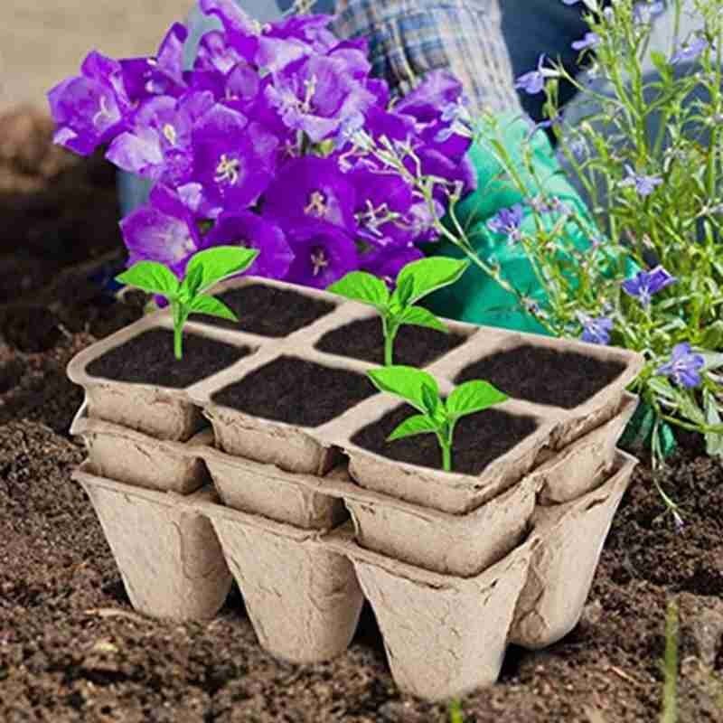 10PCS Pulp Seedling Tray Disposable Nursery Tray D... – Grandado