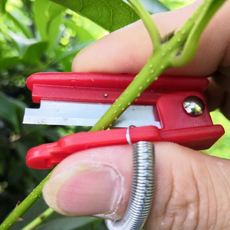 5PCS Pruner Fruit Picking Device Multifunction Thu... – Grandado