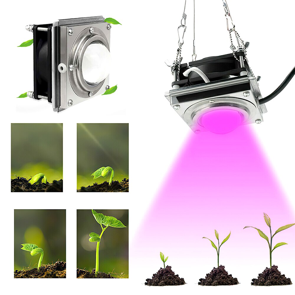 Full Spectrum Hydroponic COB Growth Light High Lum... – Grandado