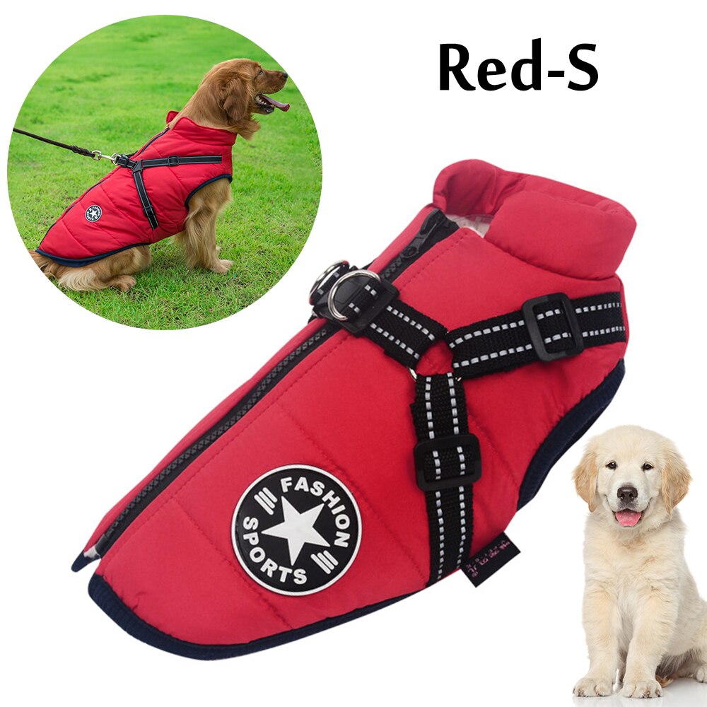 Large Pet Dog Jacket With Harness Winter Warm Dog ... – Grandado