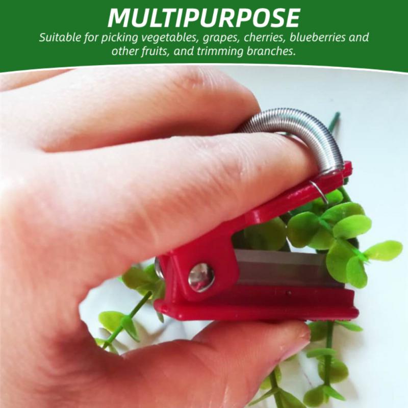 Vegetable Picking Tool Thump Knife Separator Veget... – Vicedeal