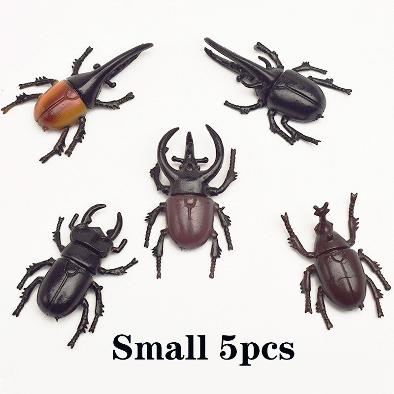5pcs 5.5/13cm Simulation Beetle Toys Special Lifel... – Vicedeal