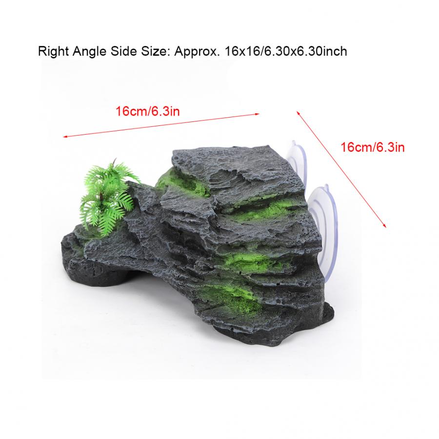 Reptile Terrarium Ideal Habitat Resin Aquarium Art... – Grandado