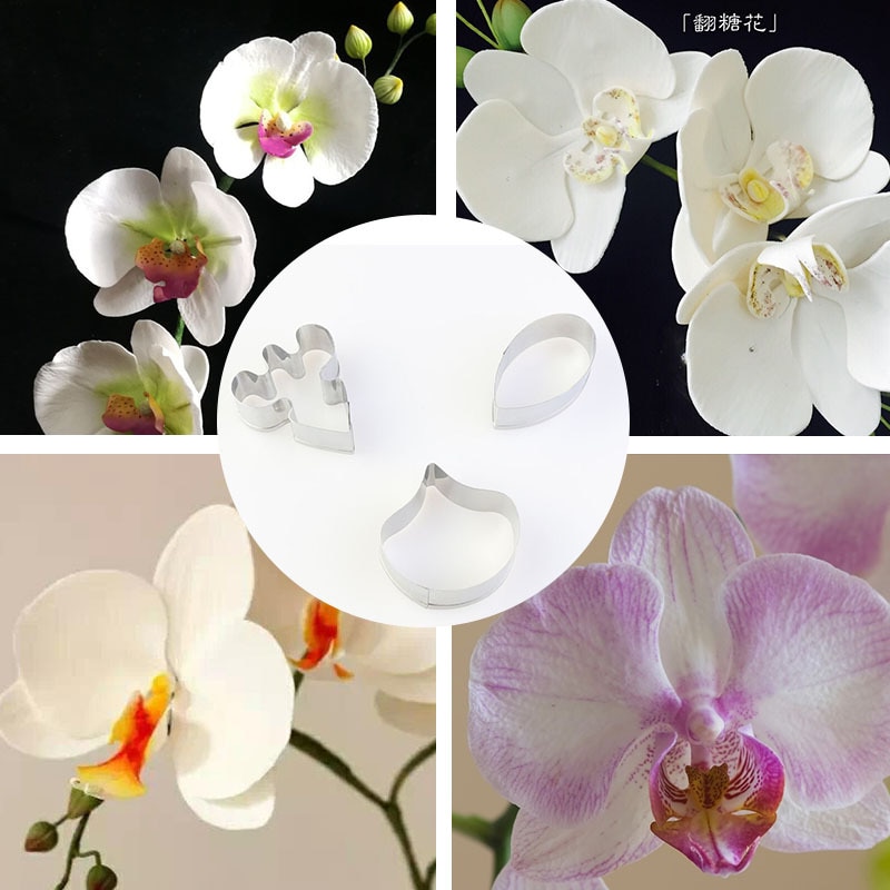 Stainless Steel Phalaenopsis Cutting Mould Polymor... – Grandado
