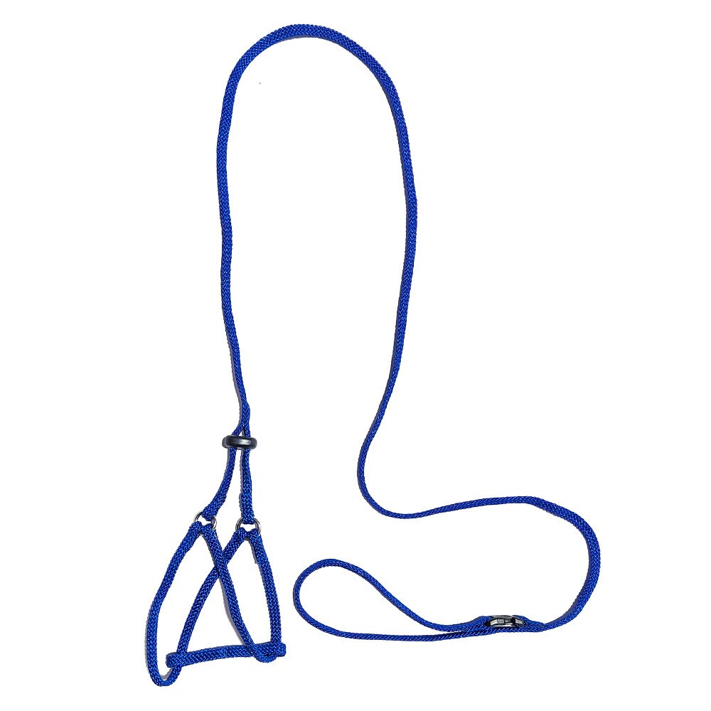 Pet Dog Cat Nylon Harness Leash Set Retractable Do... – Grandado