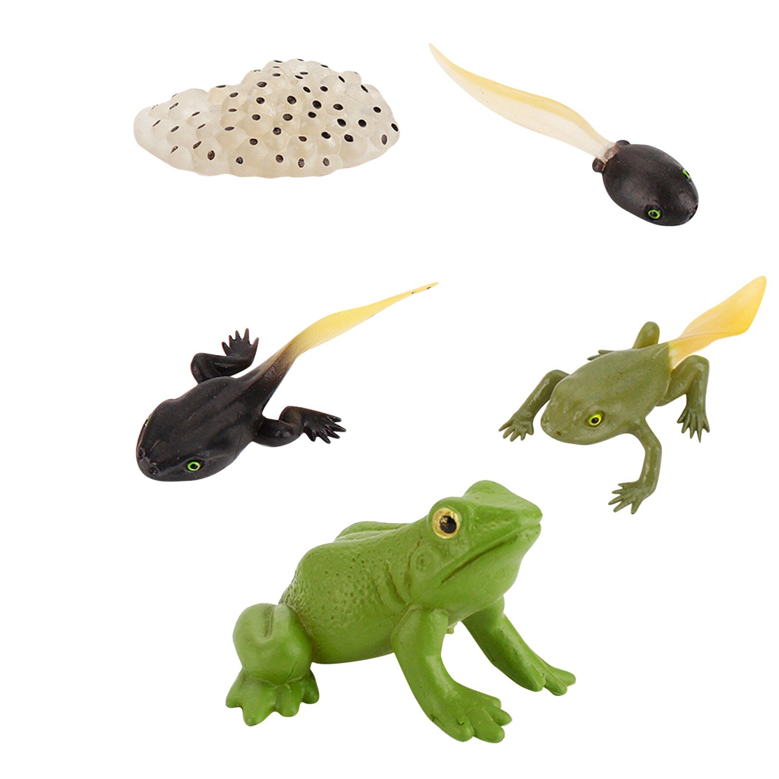 Multiple Styles Of Animal Growth Cycle Model Toys ... – Grandado