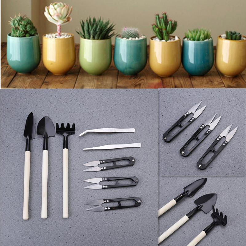 8Pcs Bonsai Set Kit Garden Tool Bud and Leaf Trimm... – Vicedeal