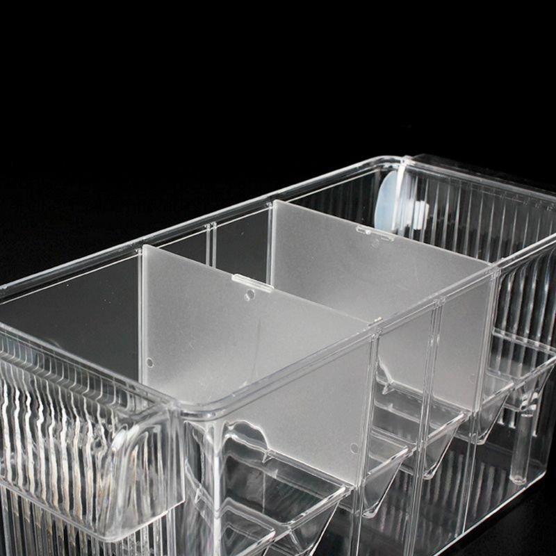 Aquarium Isolation Hatching Box Acrylic Fish Tank ... – Grandado
