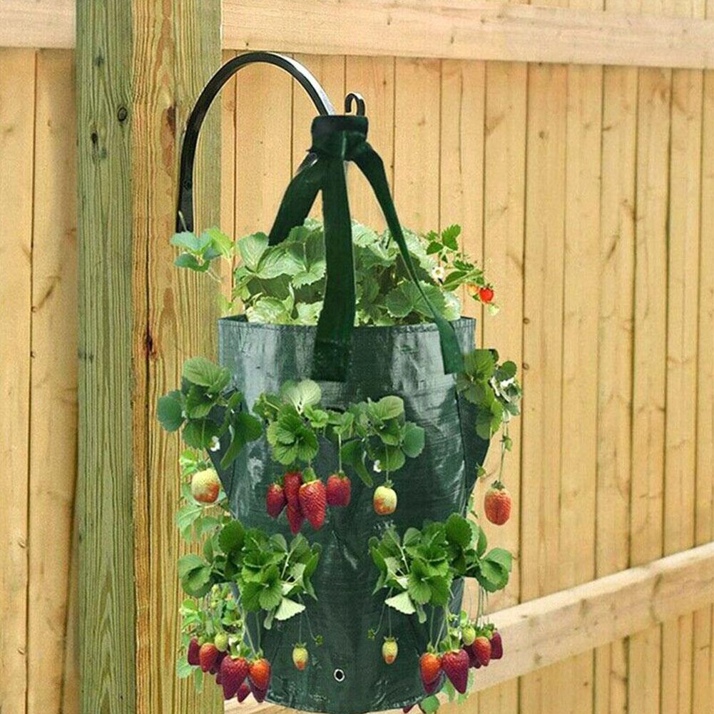 Strawberry Planting Bag Multi-mouth Container Plan... – Vicedeal