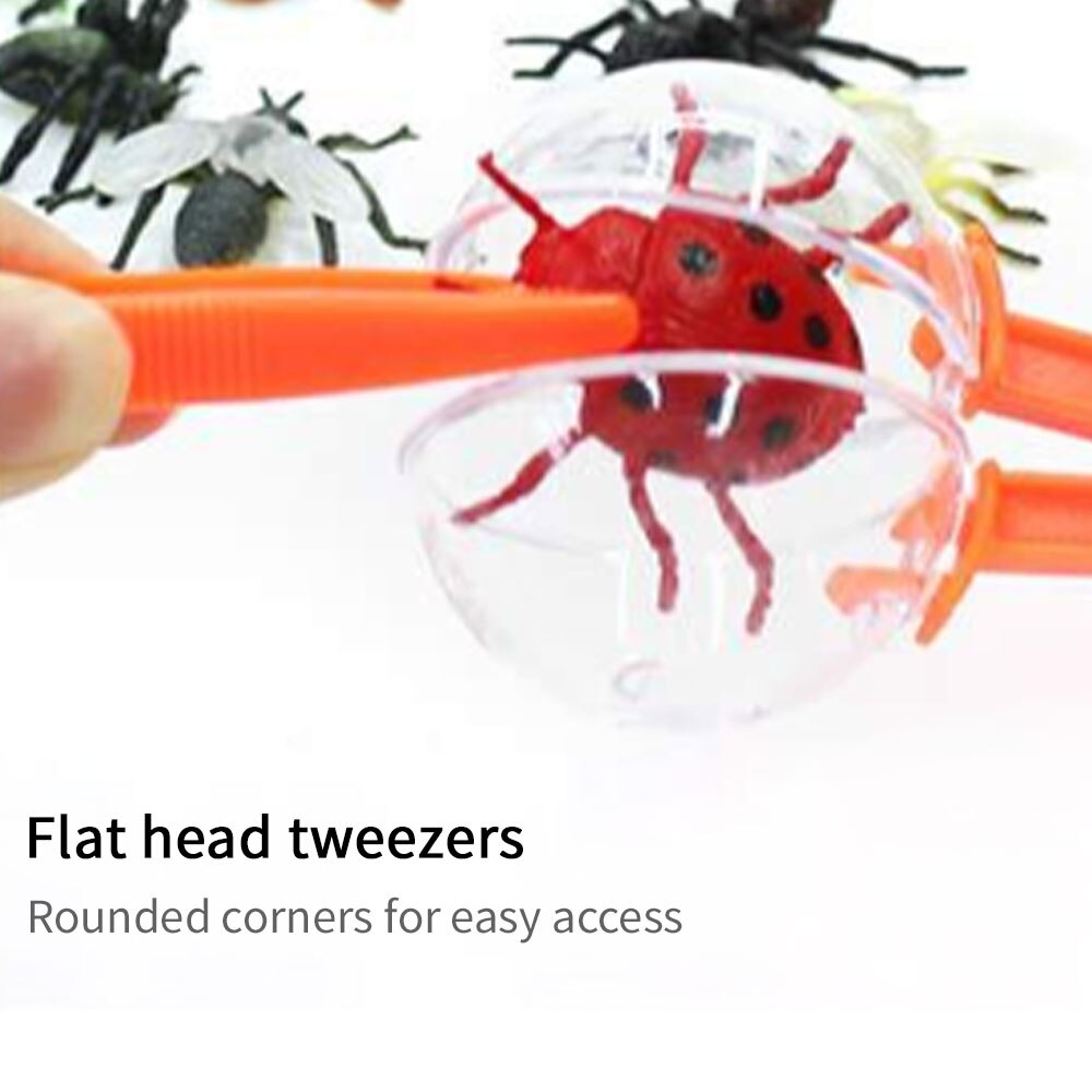 Outdoor Explorer Kit for Child Insect Capture Toys... – Grandado