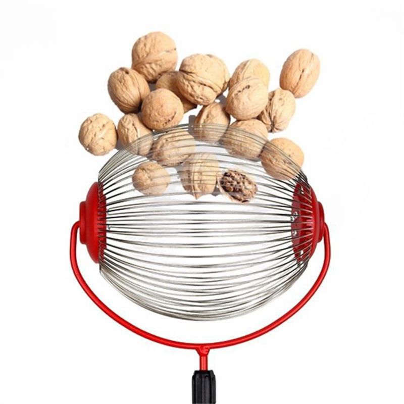 Walnuts Chestnuts Harvester Roller Nut Collector R... – Grandado