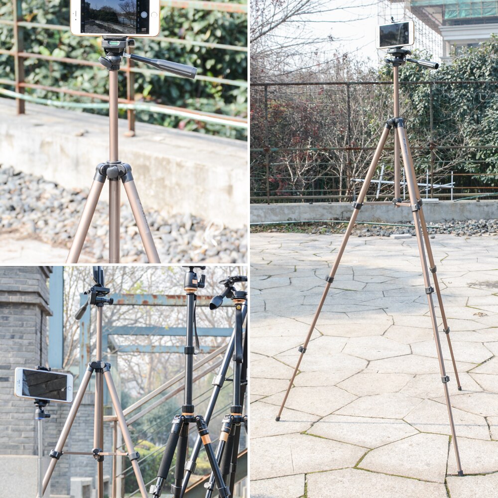 DIGITALFOTO WT3130A Mini Tripod smartphone Camcord... – Grandado