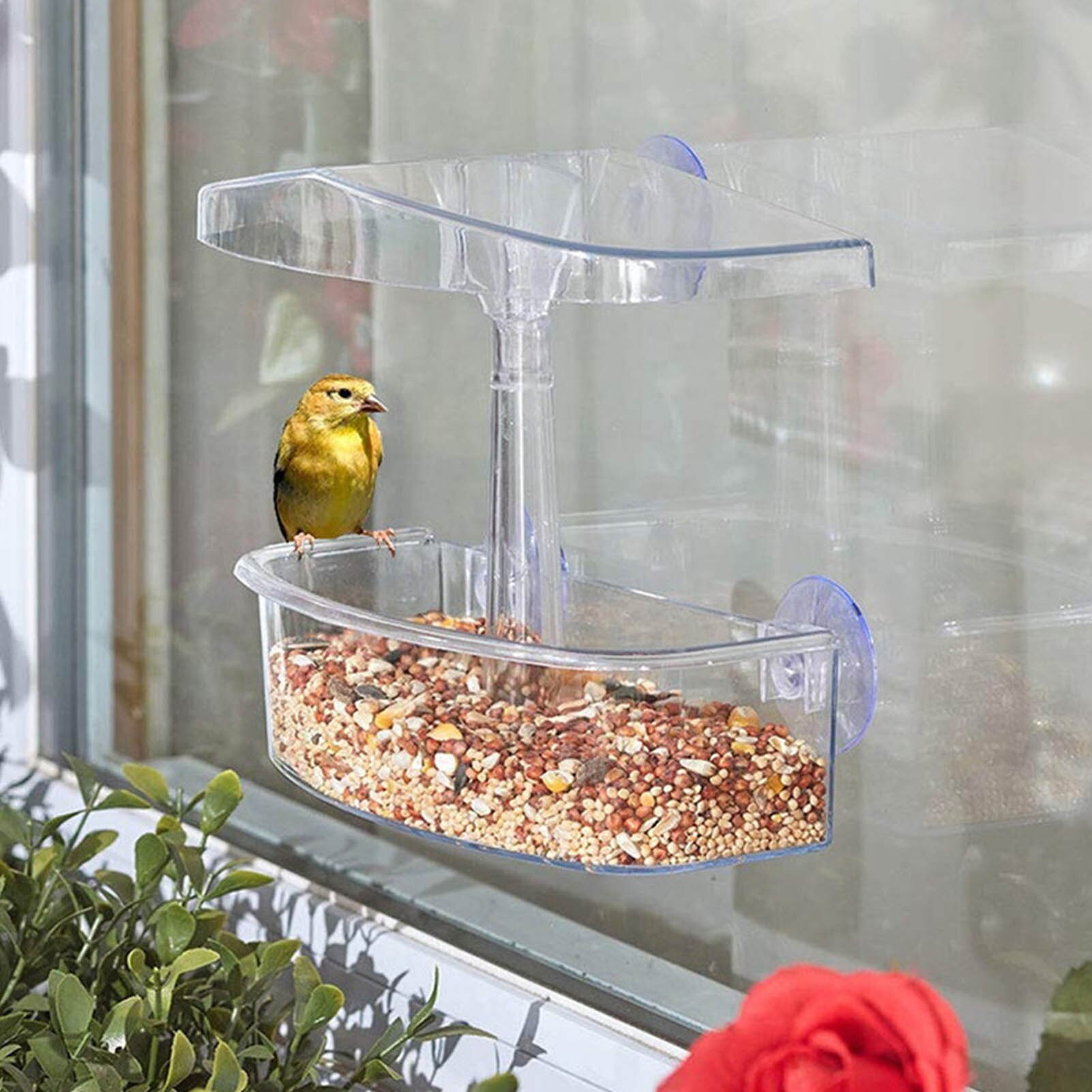 Window Bird Feeders Clear Glass Window Viewing Bir... – Grandado
