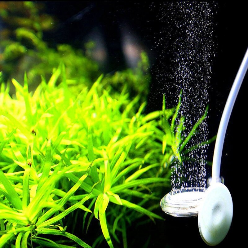 Fish Tank CO2 Diffuser Bubble Air Refiner CO2 Atom... – Grandado
