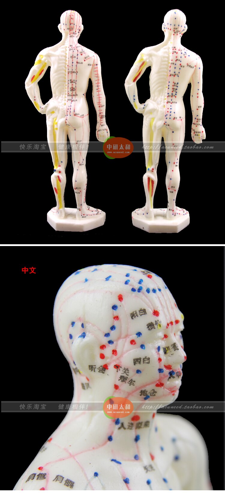 Human Body Acupuncture Point Model (male model) 26... – Grandado