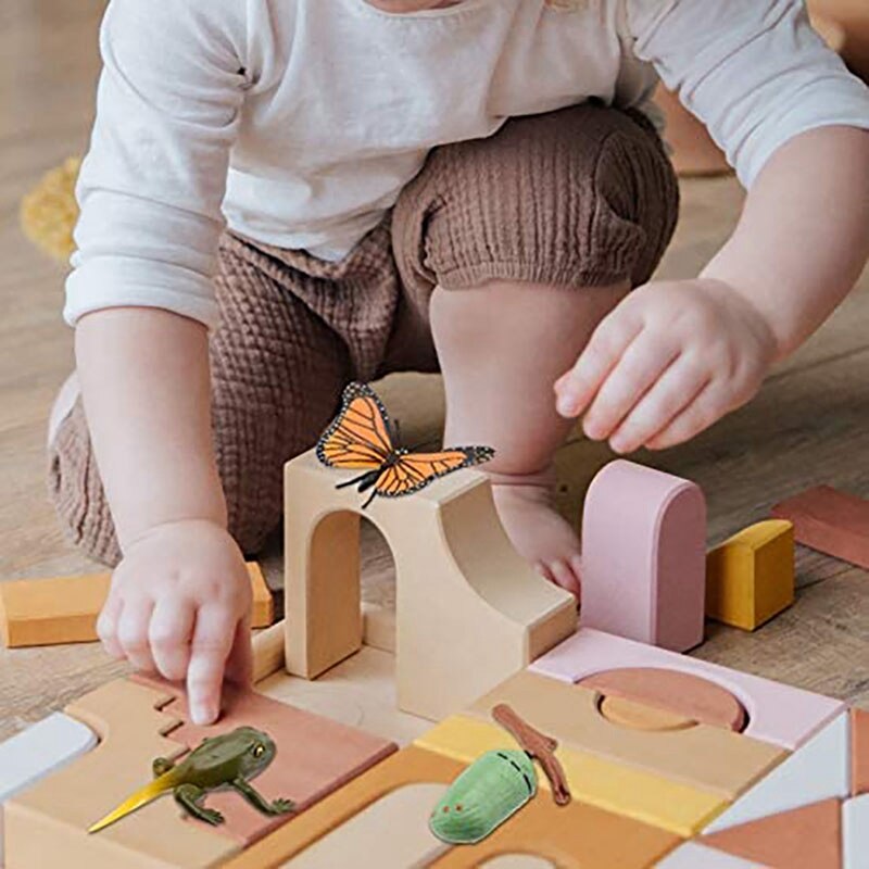 3 Sets Plastic Life Cycle Toys Ladybug Growing Kit... – Grandado