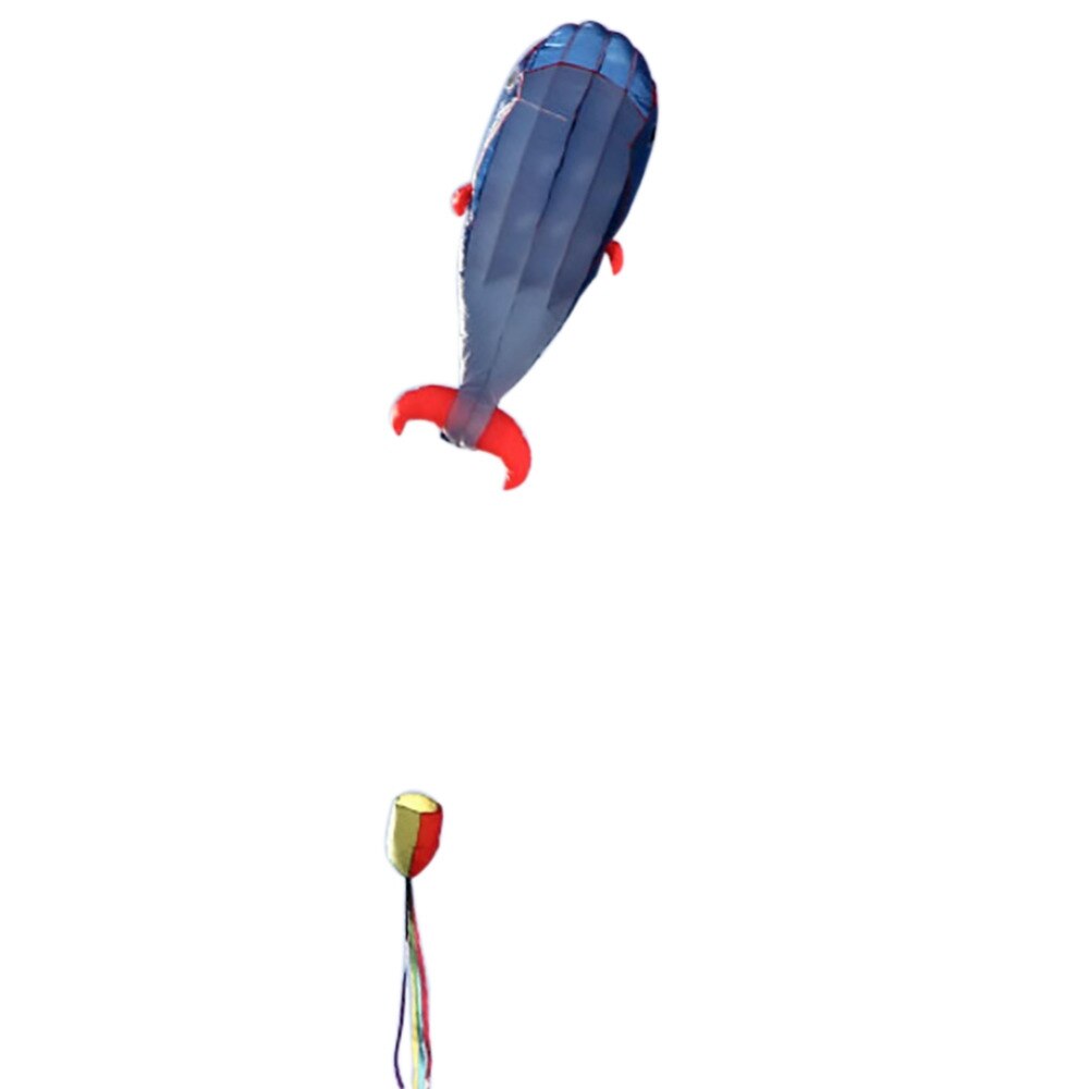 Huge 3D Dolphin Kites Kids Outdoor Fun Square Beac... – Grandado