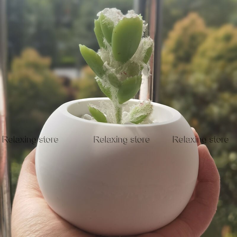 Round Flower Pot Concrete Planter Molds Square Cem... – Vicedeal