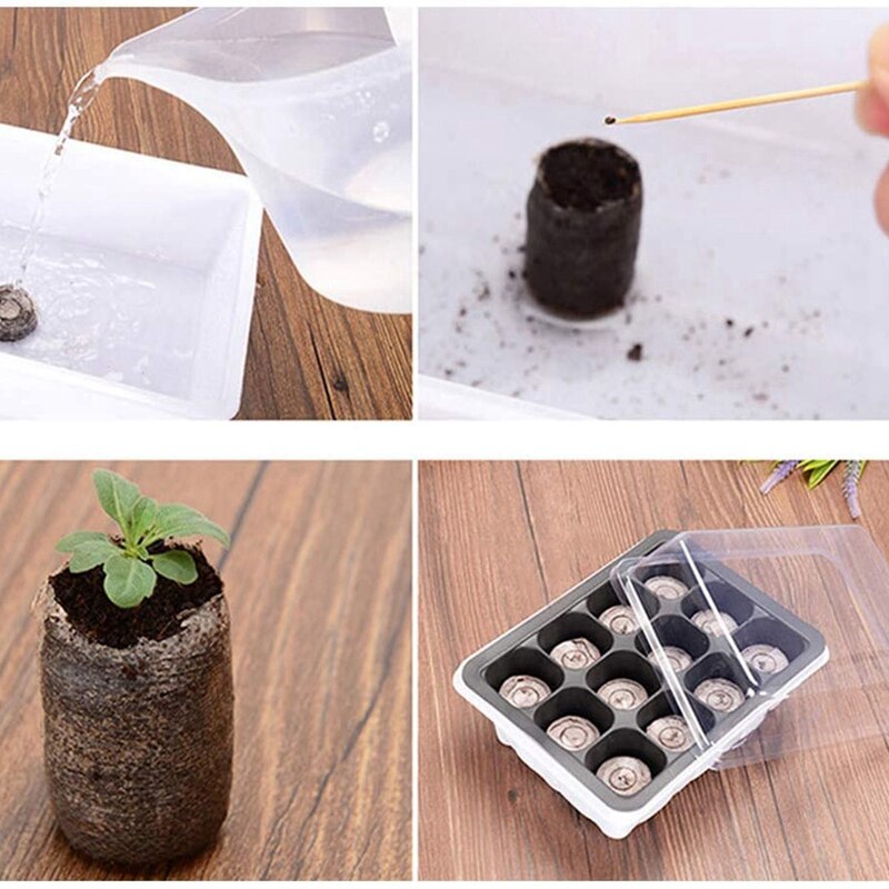 50Pcs 3cm Transplanting Plugs Soil Block Garden St... – Grandado