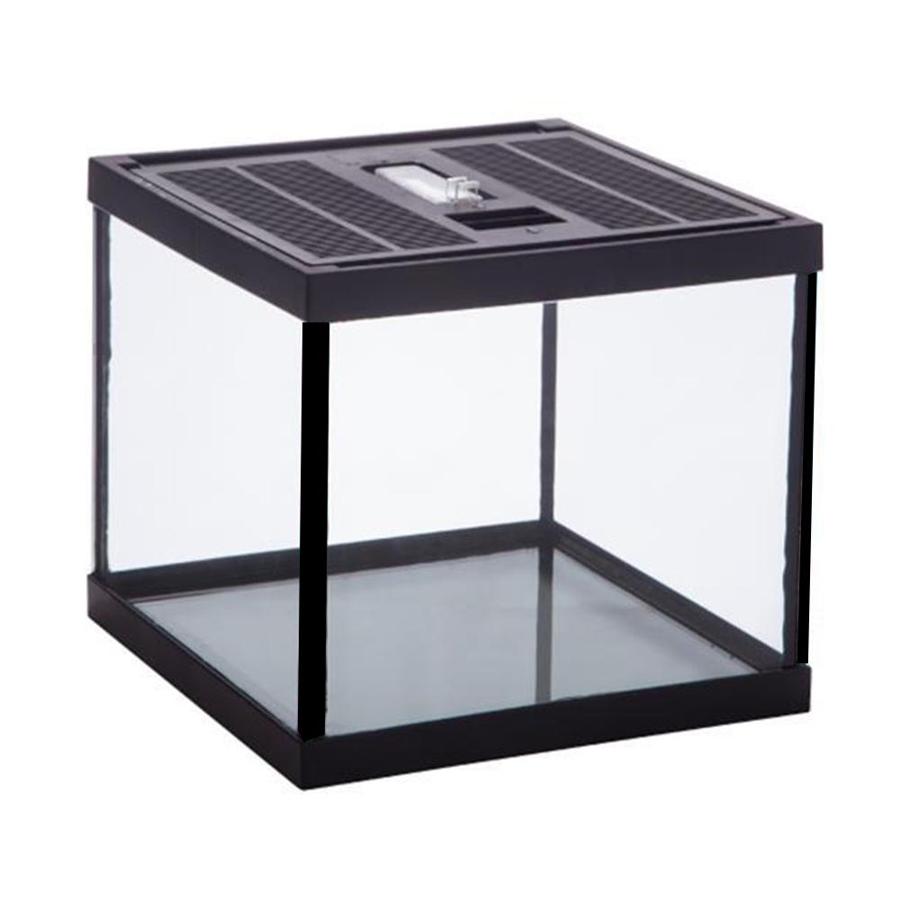 Reptile Glass Terrarium Natural Comfortable Crawli... – Grandado