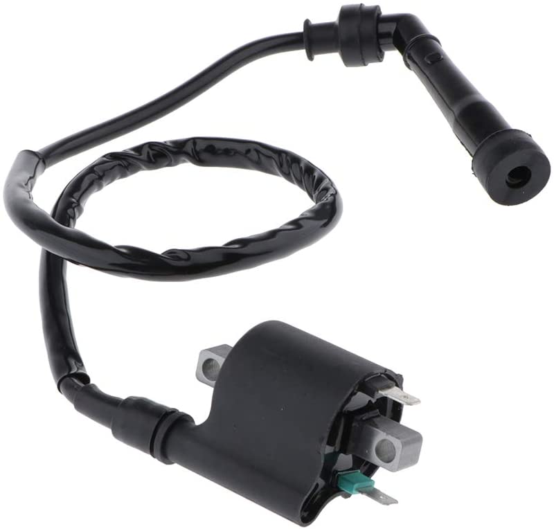 Auto Moped Ignition System – Vicedeal