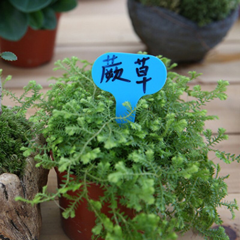 30 Pcs Garden Flowers Potted Plants Nursery Signs ... – Grandado