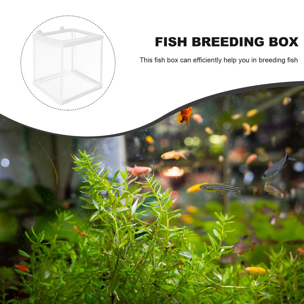 1Pc Fish Breeder Box Practical Fish Aquarium Home ... – Grandado