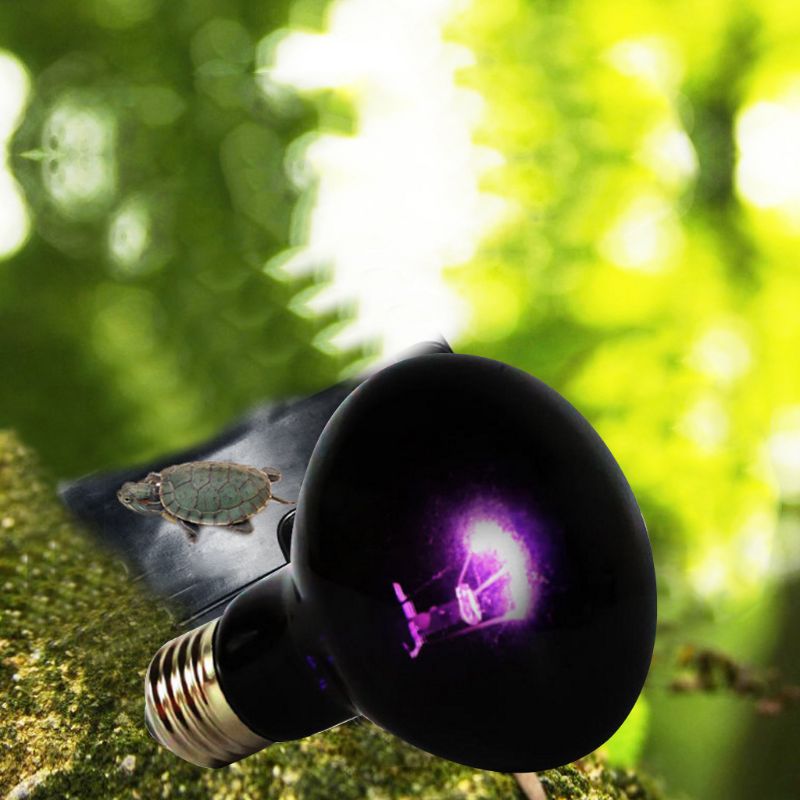 Reptile UVA Heating Lamp Climbing Pet Lizard Torto... – Vicedeal
