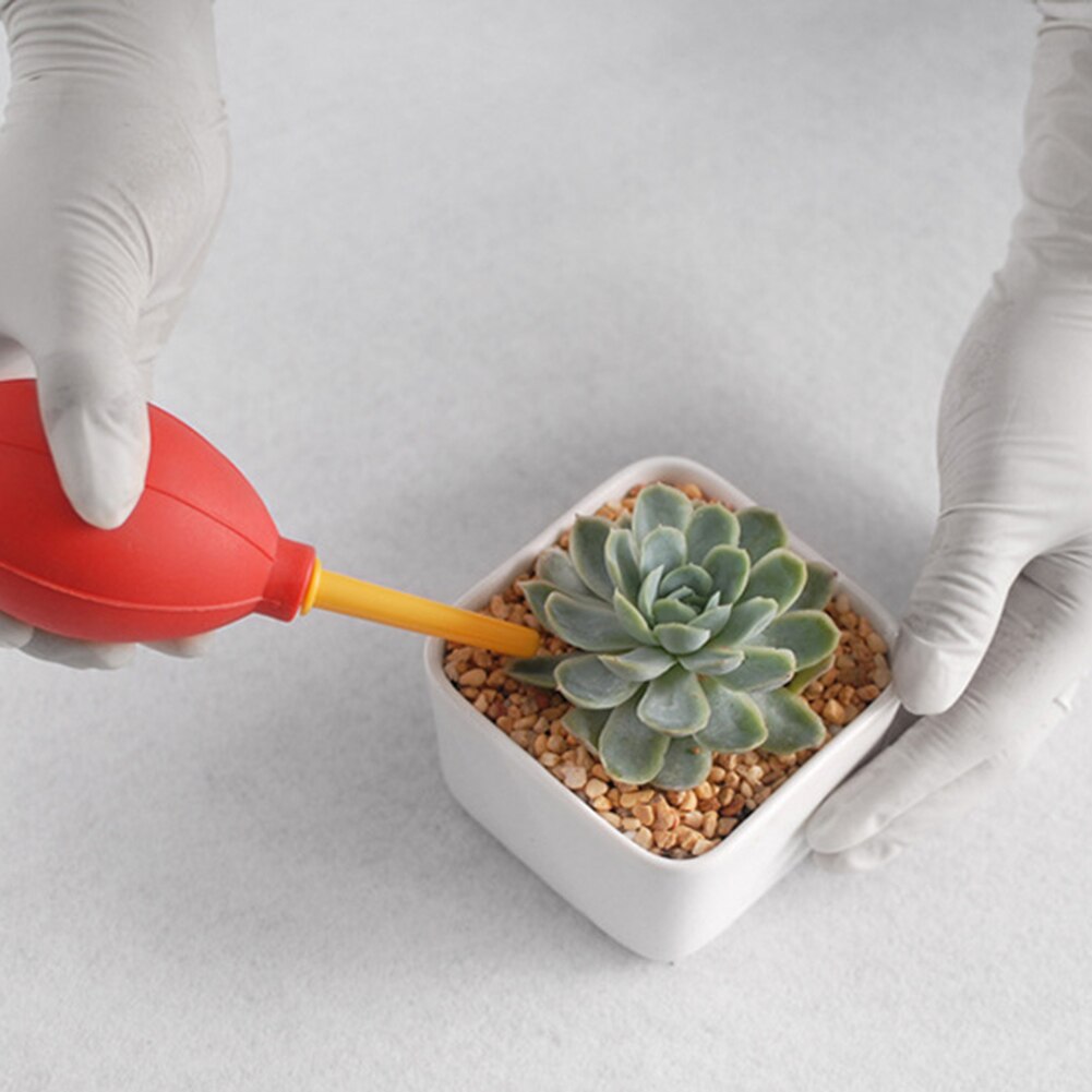 Garden Planter Kit Succulent Planting DIY Tool Set... – Grandado